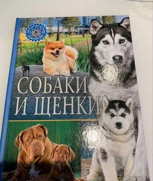 Собаки и щенки