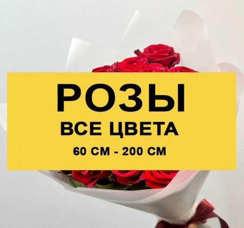 101 Роза с доставкой в Москве