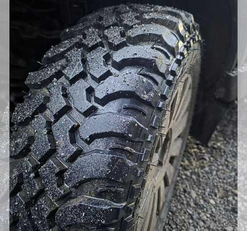 Forward Safari 540 215/65 R16