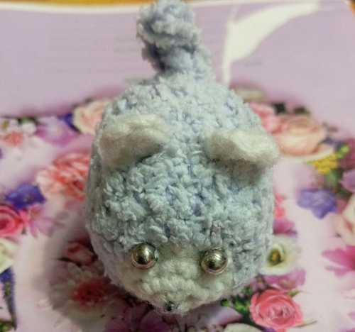 Кошка Хлоя