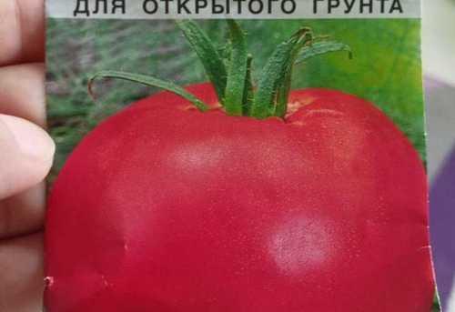 Рассада помидор для открытого грунта 10 шт