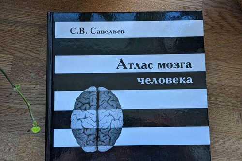 С.В. Савельев Атлас мозга человека