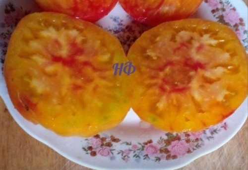 Сорта томатных гномов