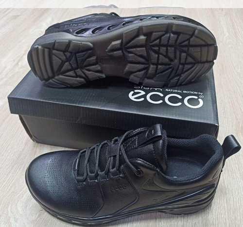 Ecco Biom Venture