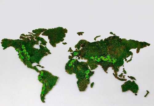 Карта мира из мха 'Зеленая энергия / 120х80 см- 12