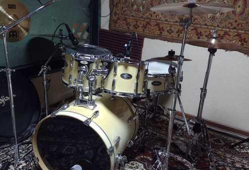 Pearl vision birch
