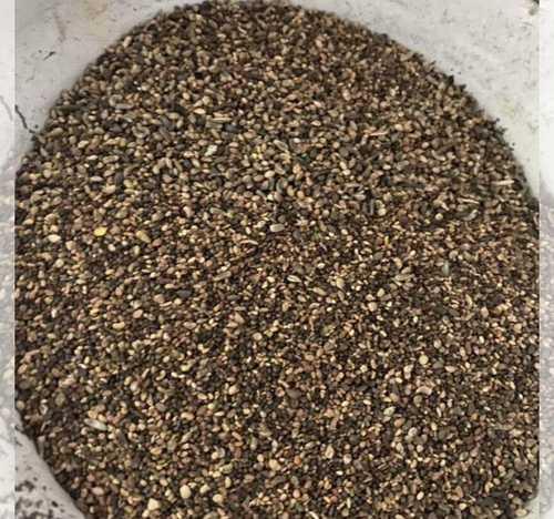 Продам люцерну сорта,Маныческая
