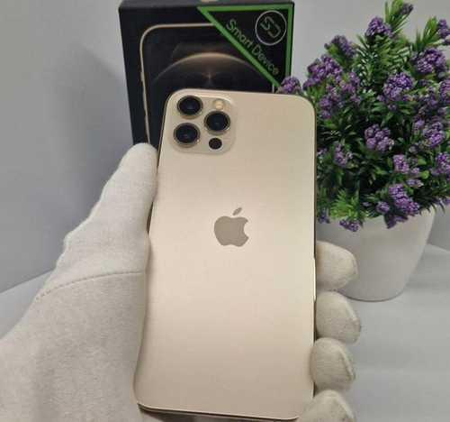 iPhone 12 Pro, 256 ГБ