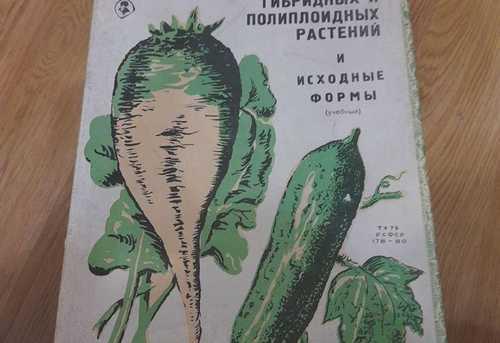 Муляж фрукты овощи СССР