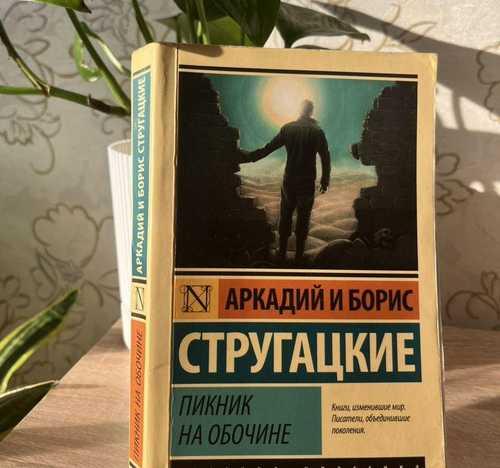 Пикник на обочине Стругацкие