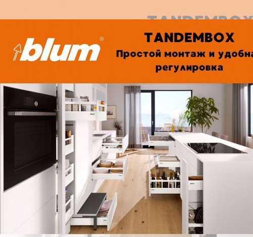 Ящики для кухни Blum Tandembox Antaro