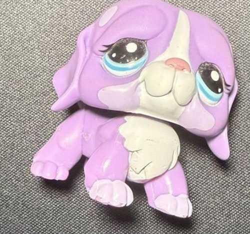 Littlest pet shop lps 2405
