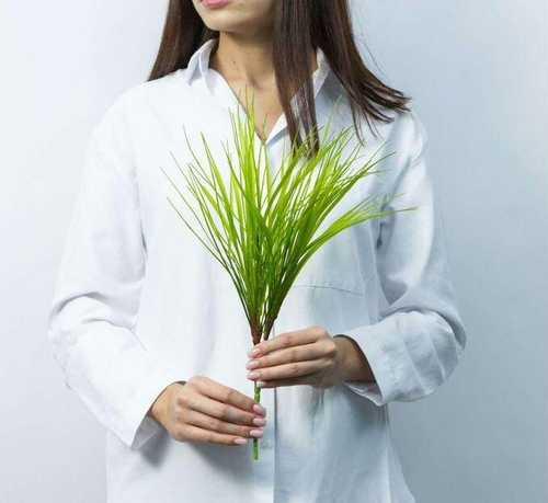 Трава искусственная осока растения