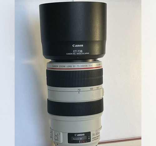 Объектив Canon EF 70-300mm f/4-5.6L IS USM
