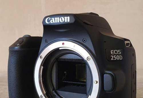 Canon EOS 250D Body