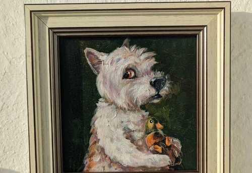 Картина маслом в рамочке " Портрет белой собачки "