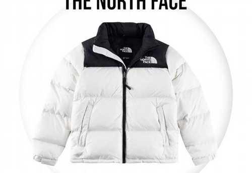 Зимняя куртка TNF