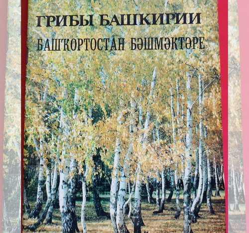 Книга Грибы Башкортостана