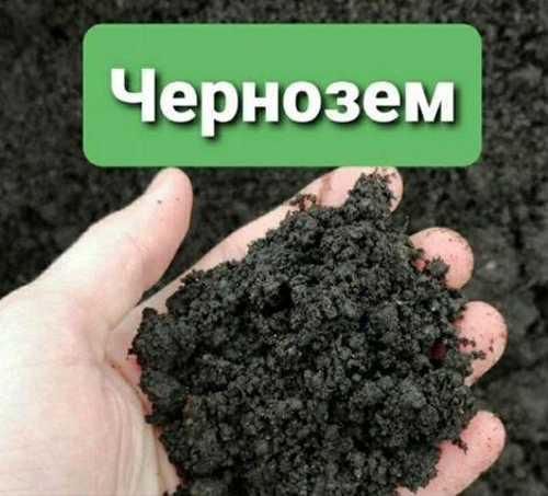 Чернозем / земля плодородная
