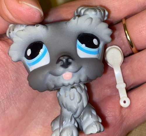 Littlest pet shop