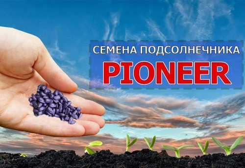 Семена гибриды подсолнечника Пионер (Pioneer)
