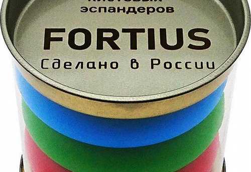 Набор кистевых эспандеров Fortius 10, 20, 30 кг в