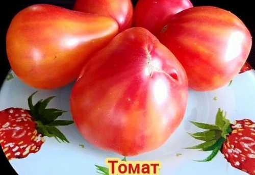 Семена томатов стандартных размеров коллекционные