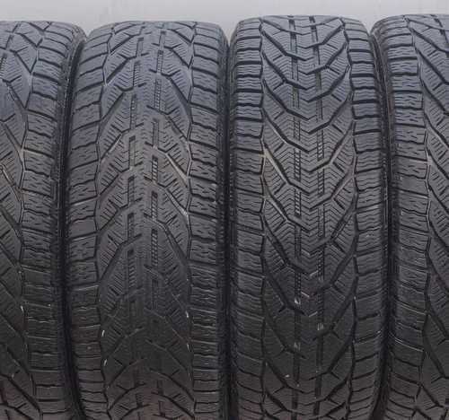 Tigar Winter 225/45 R17 94H