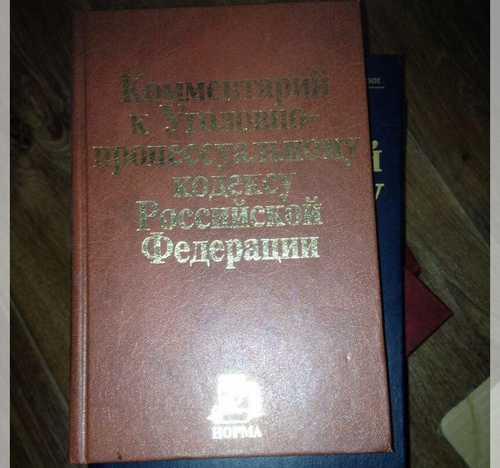 Уголовно-процессуальный кодекс РФ 2002 год