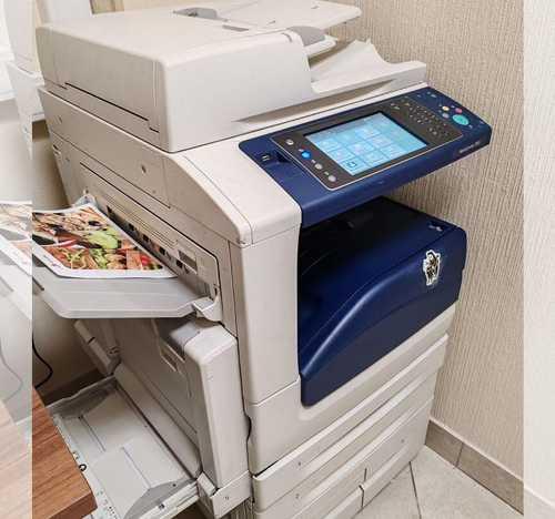 Мфу принтер цветной лазерный А3 Xerox WC 7855