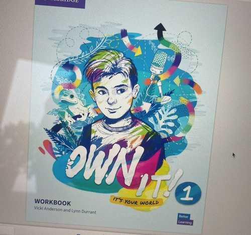 Own It 1 presentation plus