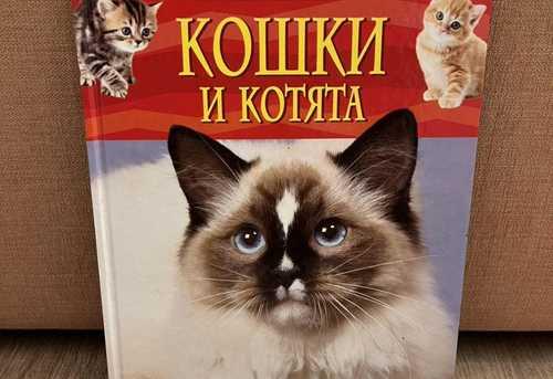 Новая книга Кошки и котята