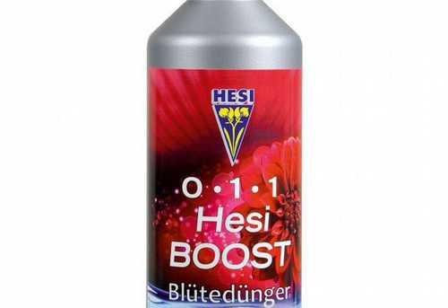 Hesi Boost