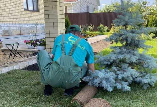 Рулонный газон под ключ