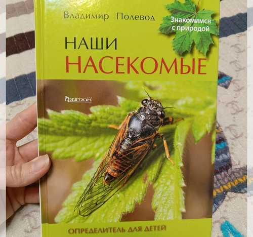 Книга для детей про насекомые