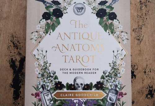Таро Античной Анатомии. The Antique Anatomy Tarot