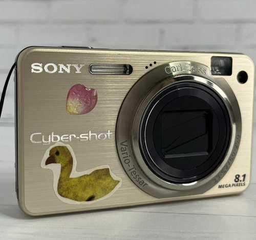 Sony Cyber-shot с примерами фото (DSC-W150)