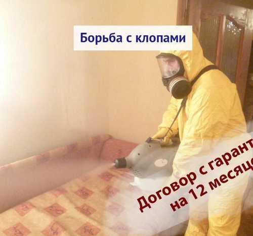 Уничтожение клопов тараканов