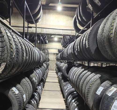 Gislaved Nord Frost 5 205/65 R15 95M