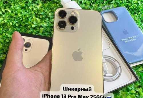 iPhone 13 Pro Max, 256 ГБ