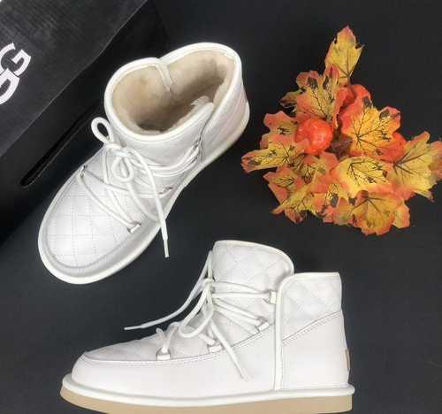 Ugg угги из кожи Ugg Lodge Mini Leather White