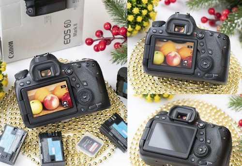 Canon EOS 6D mark ii body, гарантия 6 месяцев