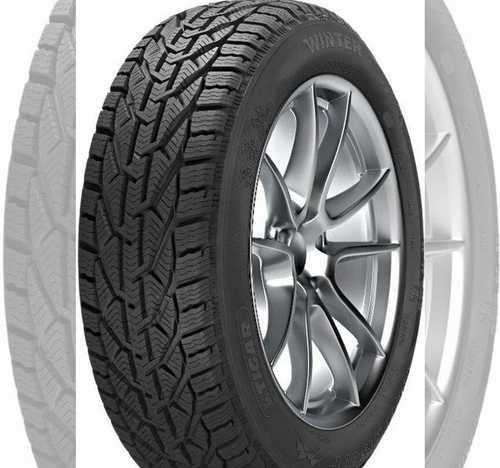 Tigar Winter 205/55 R17 95V