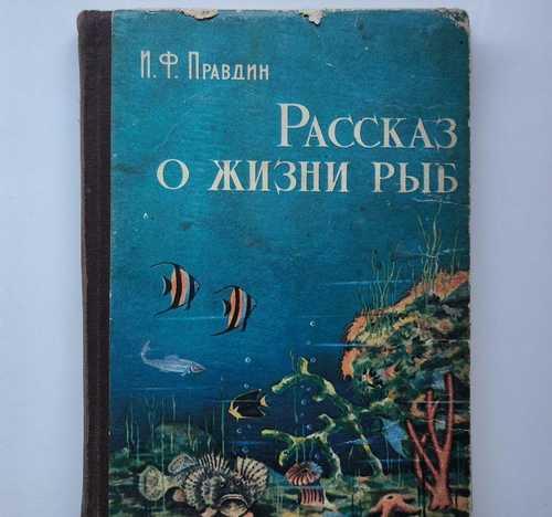 Иван Правдин - Рассказ о жизни рыб