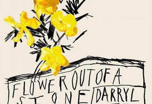 Darryl Baalki – Flower Out Of A Stone