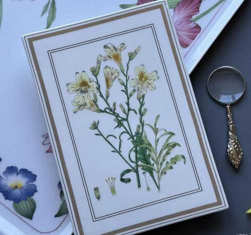 Фарфоровое панно Royal Worcester Сальпиглоссис