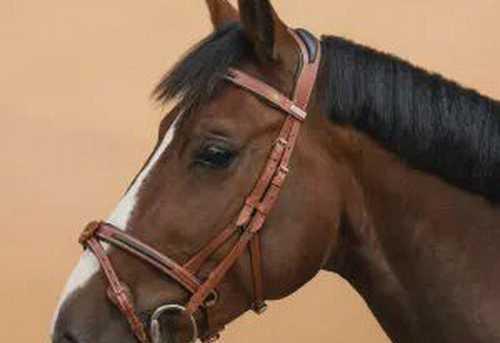 Уздечка Fouganza 900 для лошади и пони, коричневый