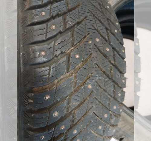 Zmax Winternova Stud II 205/50 R17