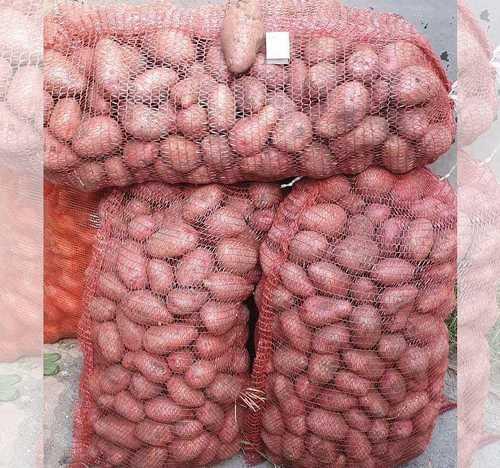 Продам картофель с доставкой