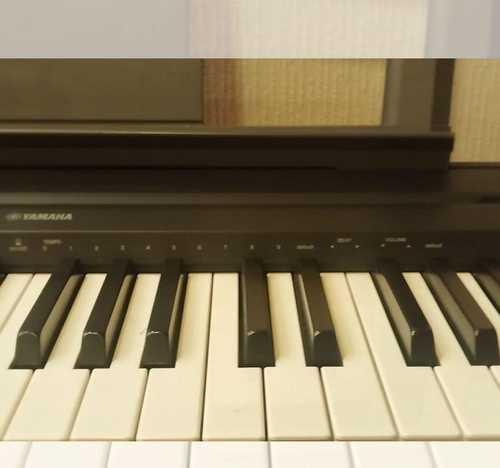 Цифровое пианино Yamaha p 35